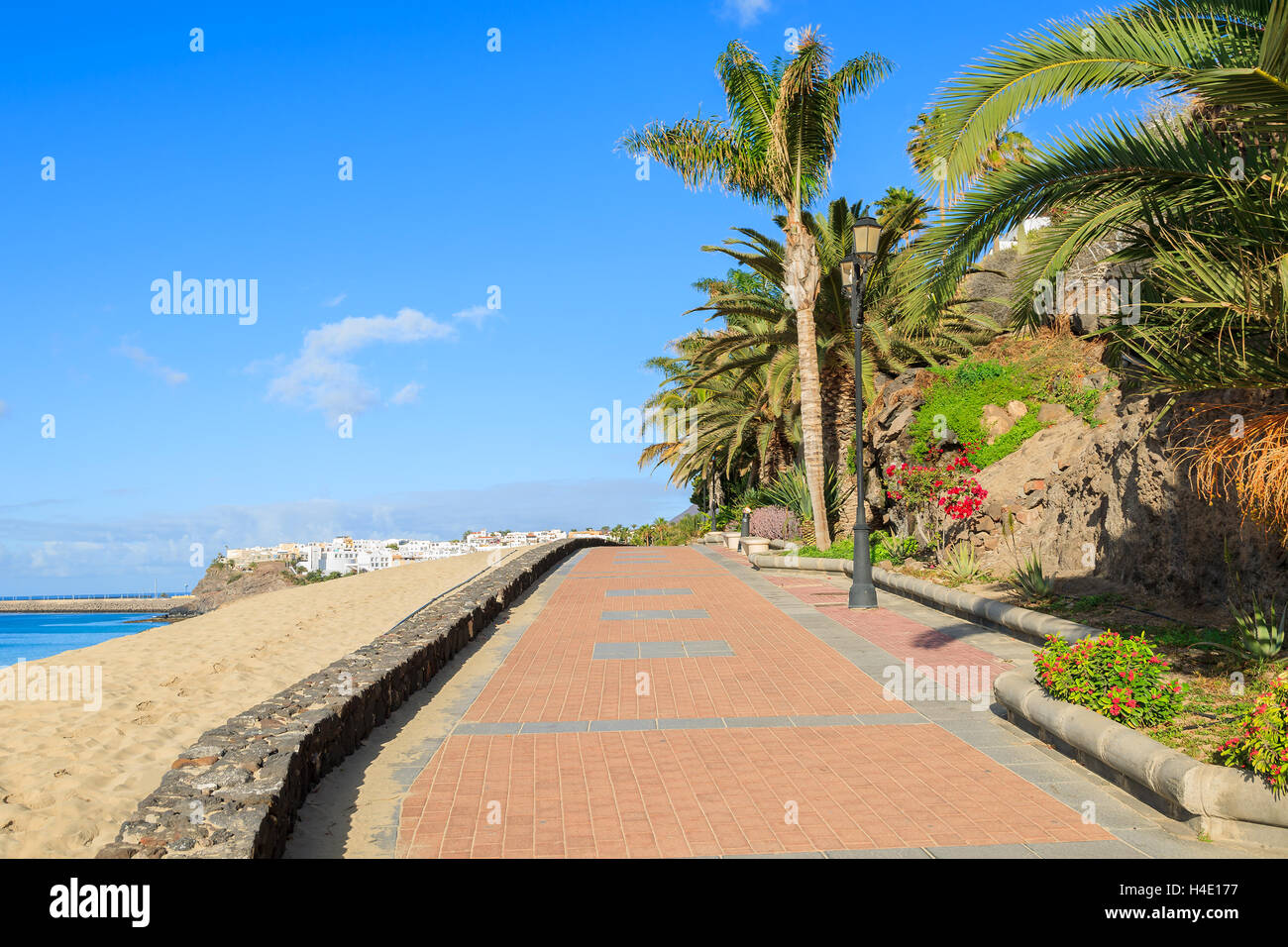 Walkway and tropical plants on Morro Jable promenade along beach on ...