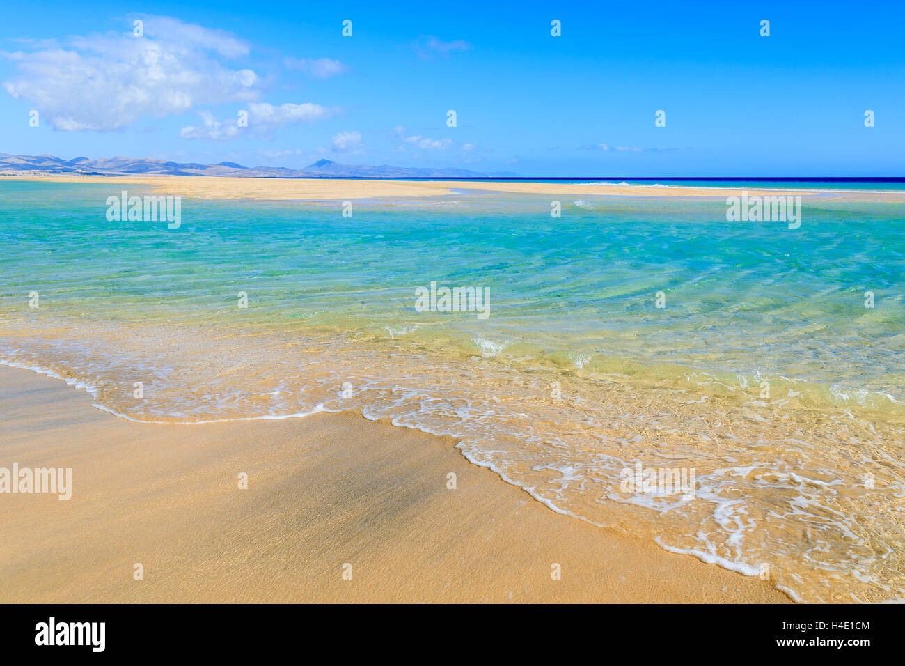 Beautiful golden sand lagoon and turquoise azure sea water on Sotavento ...