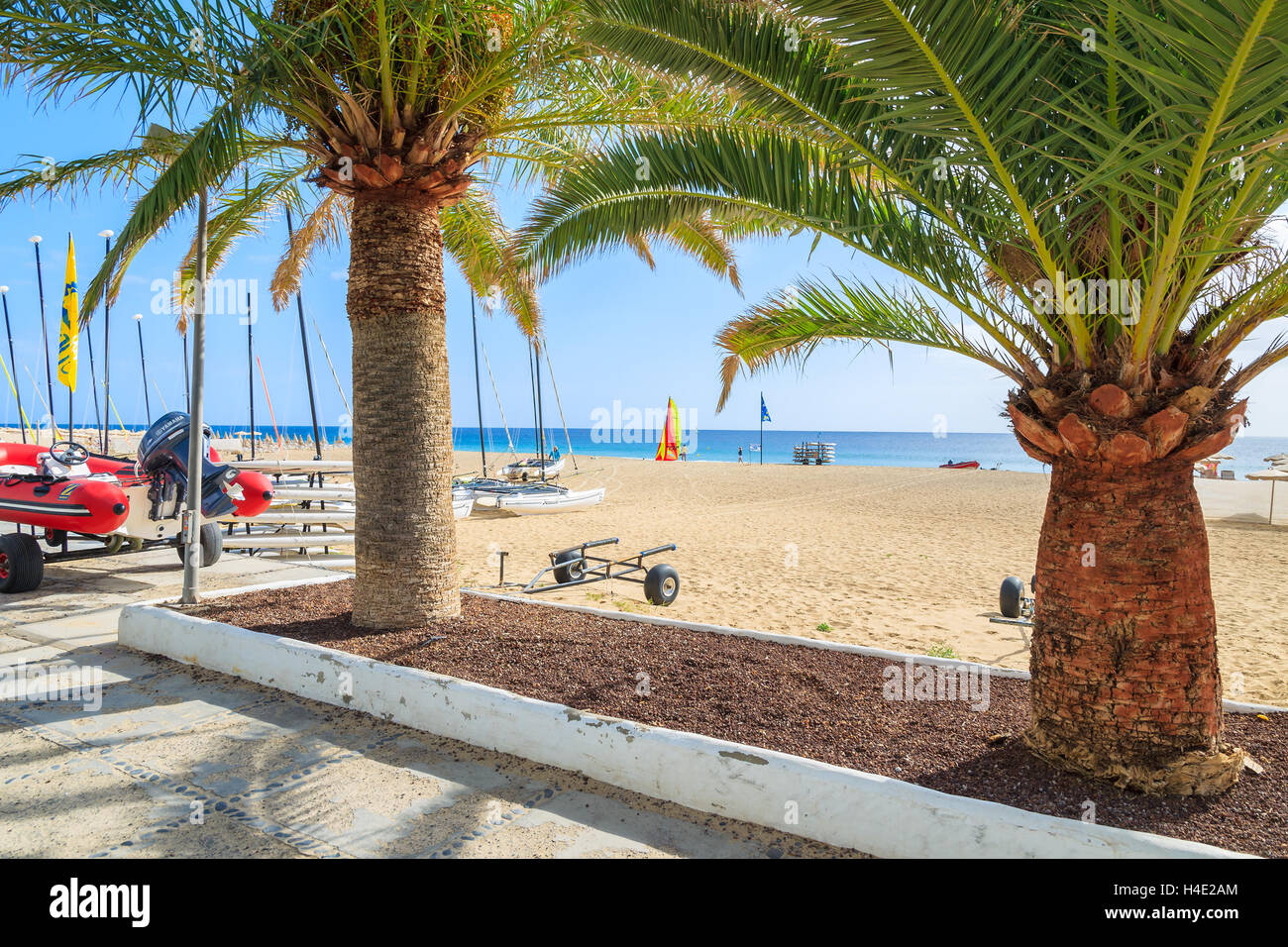 MORRO JABLE, FUERTEVENTURA - FEB 7, 2014: palm trees on promenade along ...