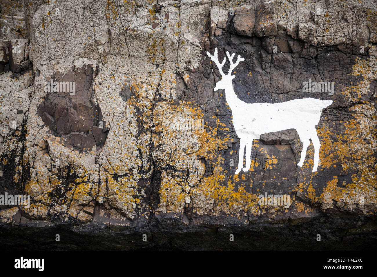 Stag rock, Bamburgh, Northumberland - white painted stag on a rock at ...