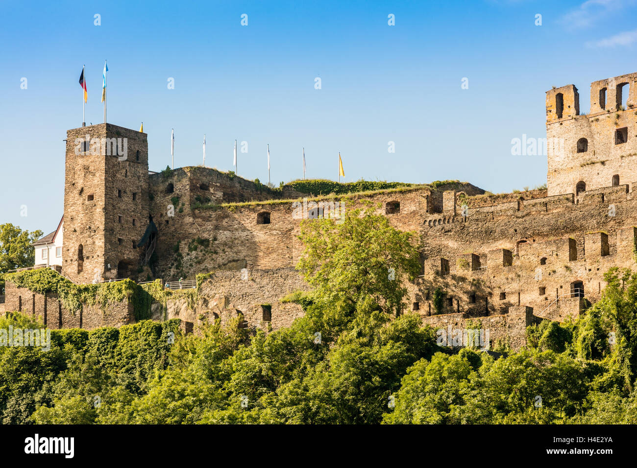 Rheinfels Castle, Rhine Gorge, Germany, Europe Stock Photo - Alamy