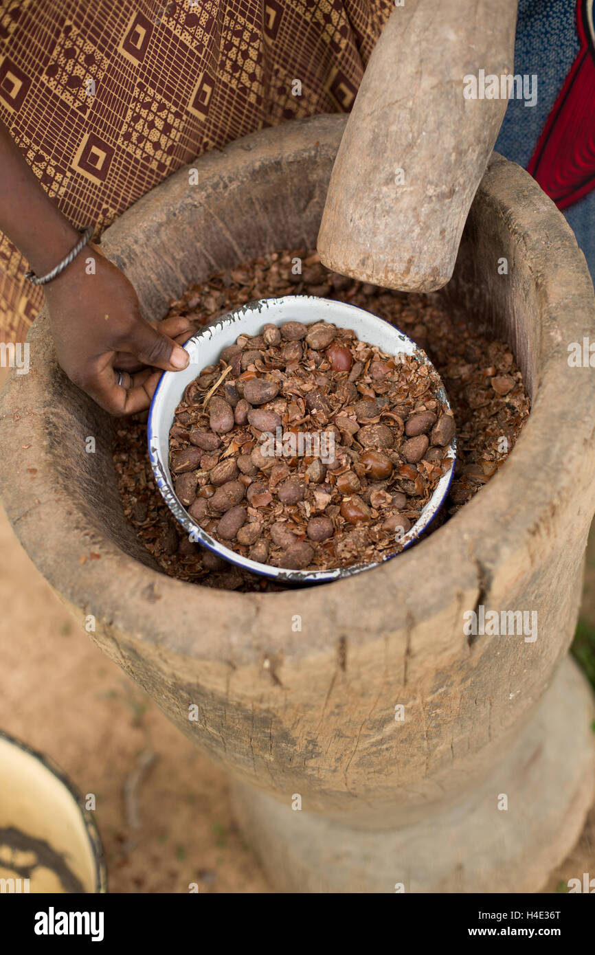 Shea nuts are pounded by women as part of the shea butter and oil ...