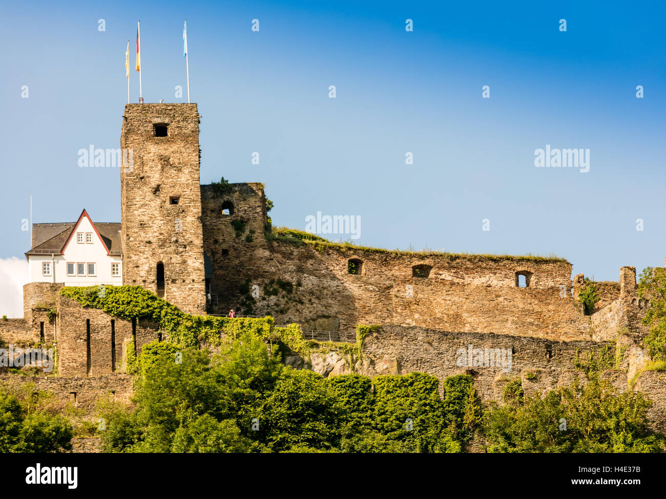 Rheinfels Castle, Rhine Gorge, Germany, Europe Stock Photo - Alamy