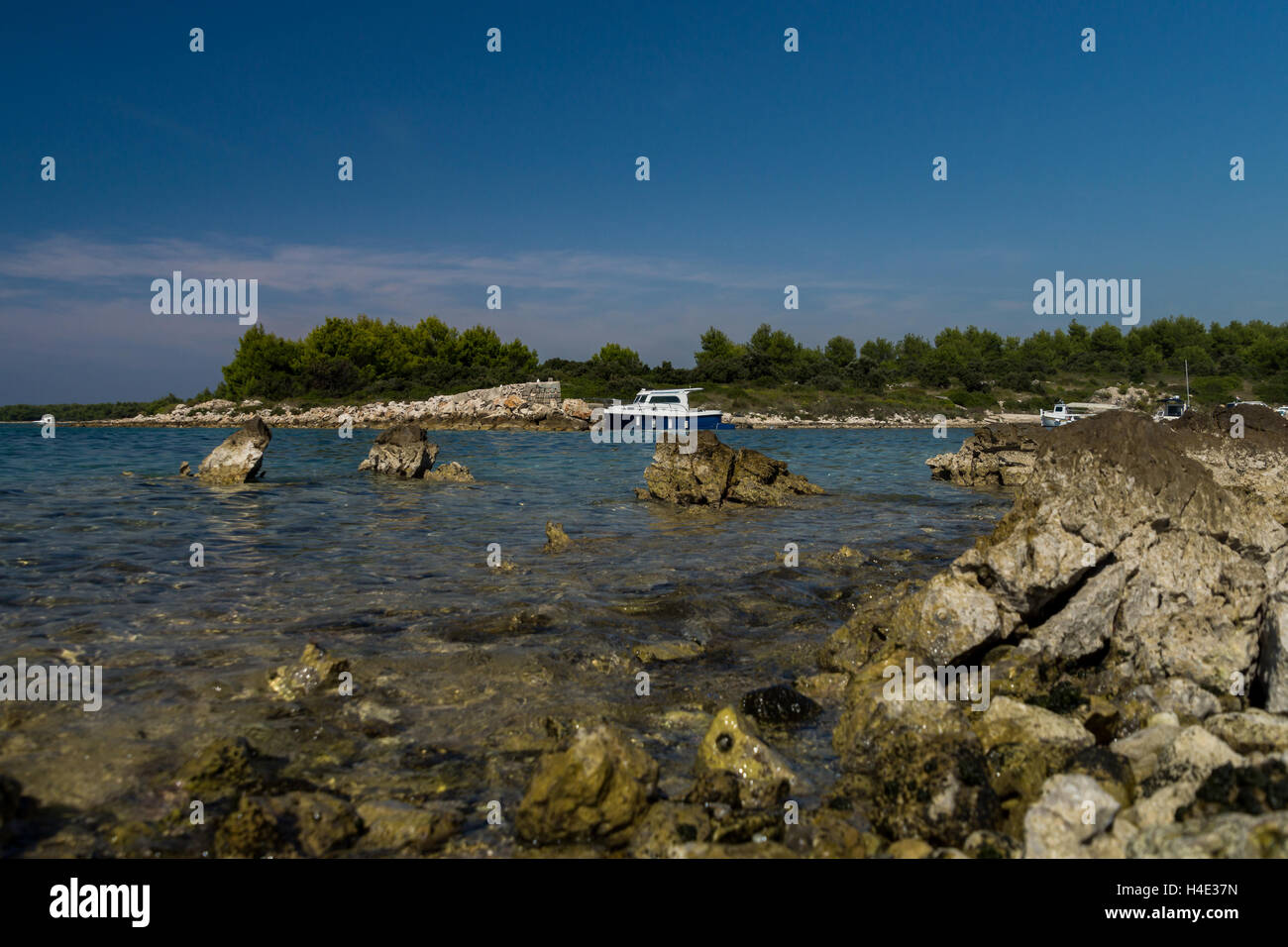 Vir is an island on the Croatian coast of the Adriatic Sea Stock Photo ...