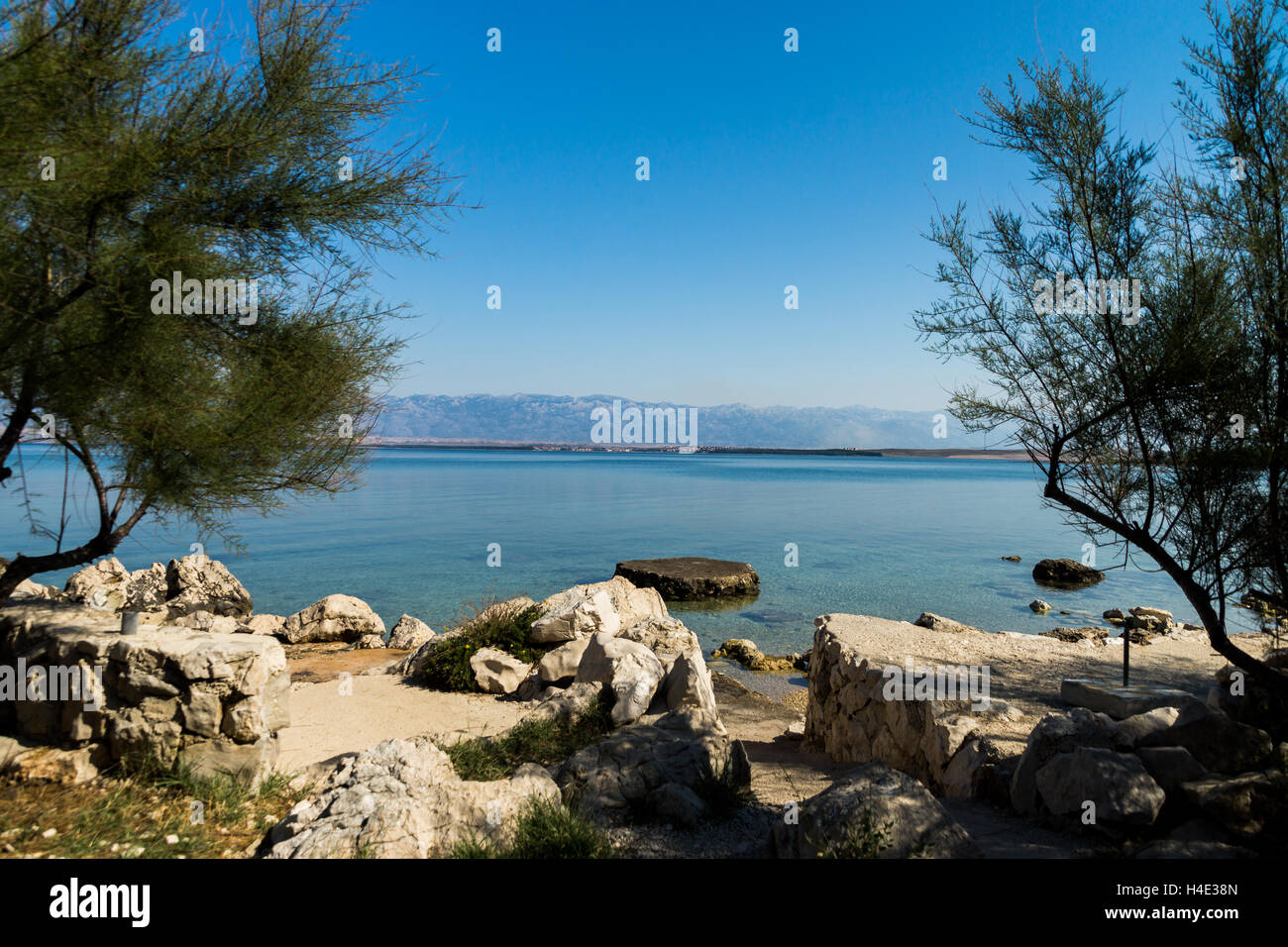 Vir is an island on the Croatian coast of the Adriatic Sea Stock Photo ...