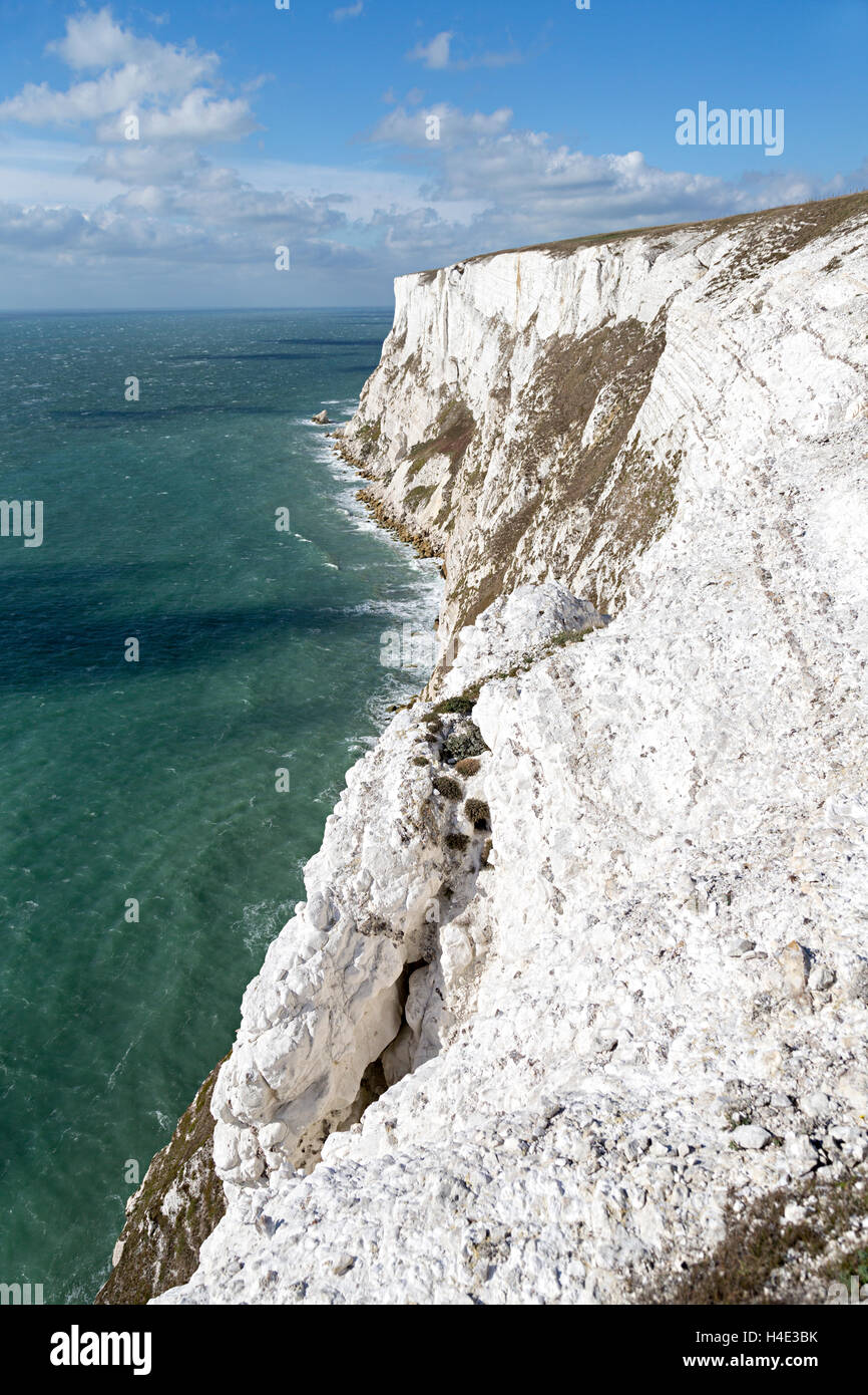 White chalk cliffs on Tennyson Down, Isle of Wight, UK Stock Photo - Alamy