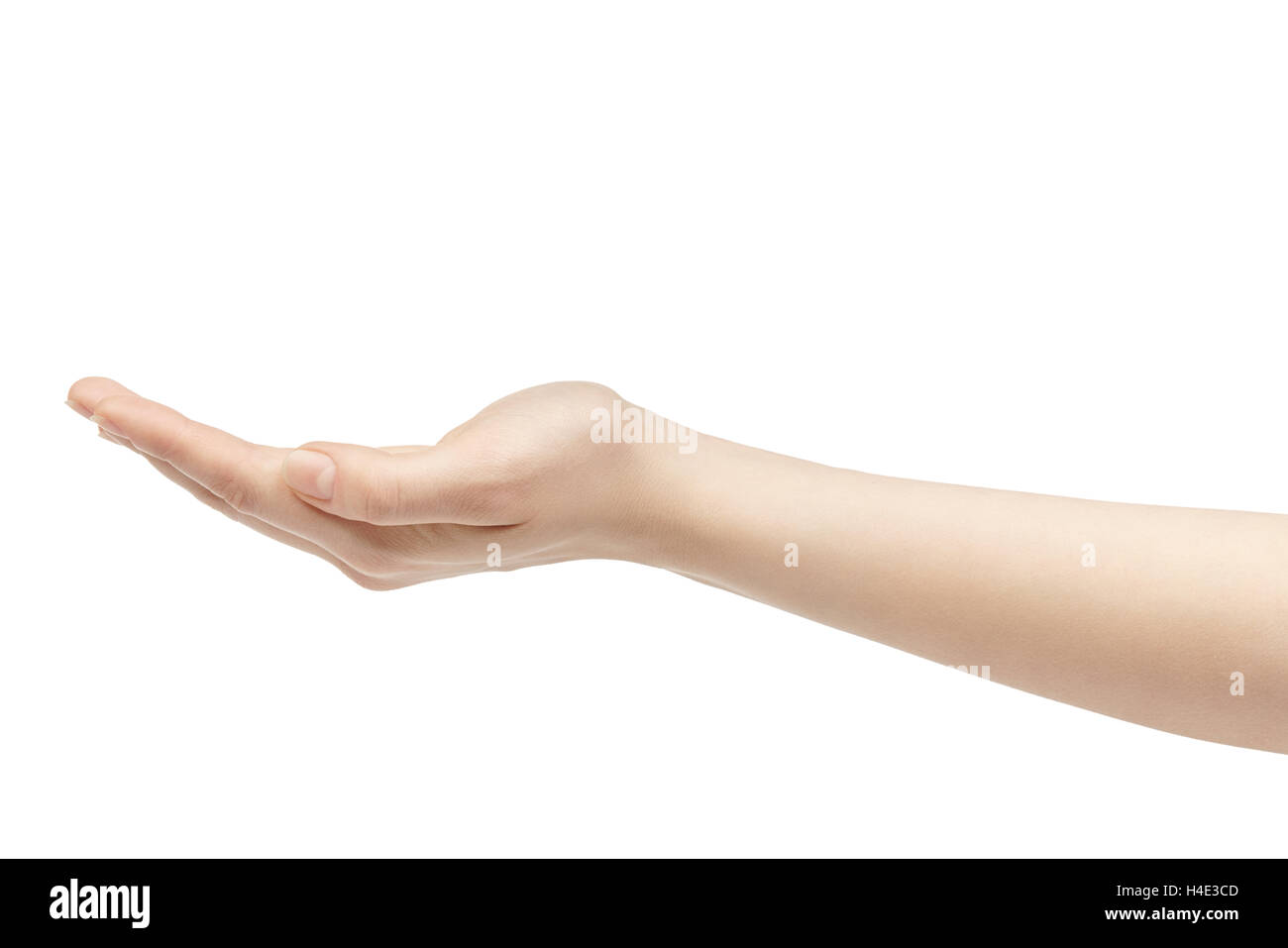empty young female hand holding release isolated on white background ...