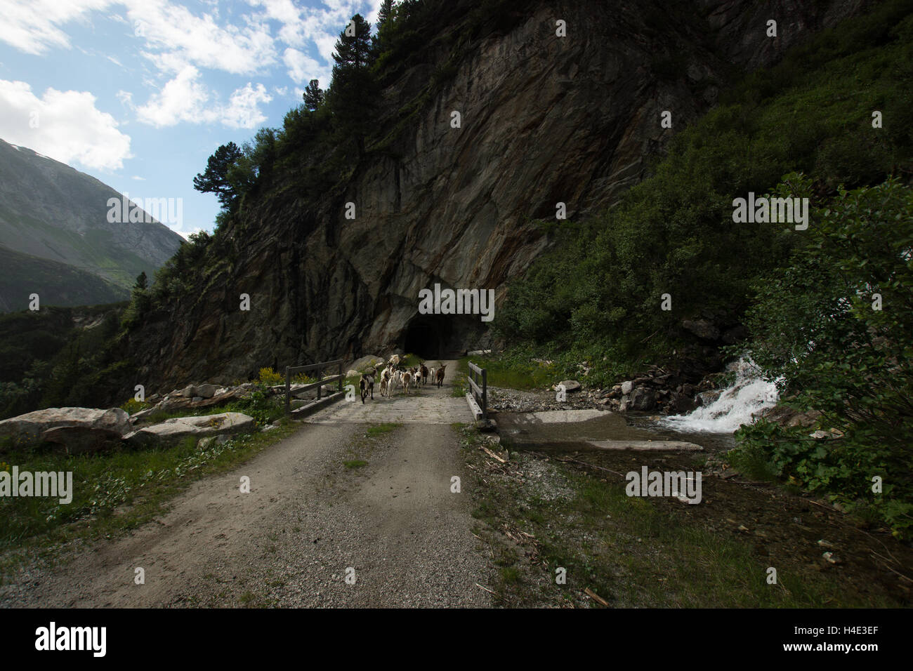 An old tunnel at the Malta High Alp Street in Carinthia, Austria, in ...