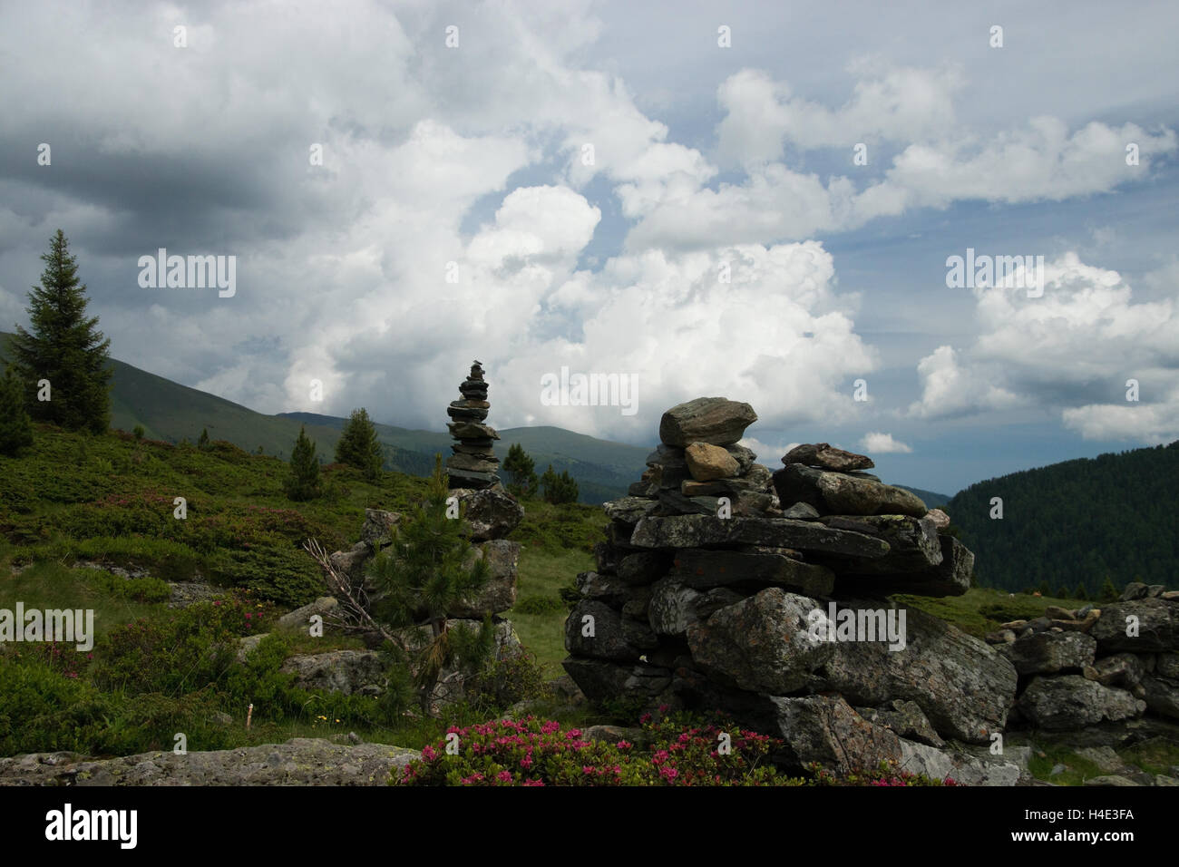 Landscape at the Nock Alp Street in Carinthia, Austria, in July Stock ...