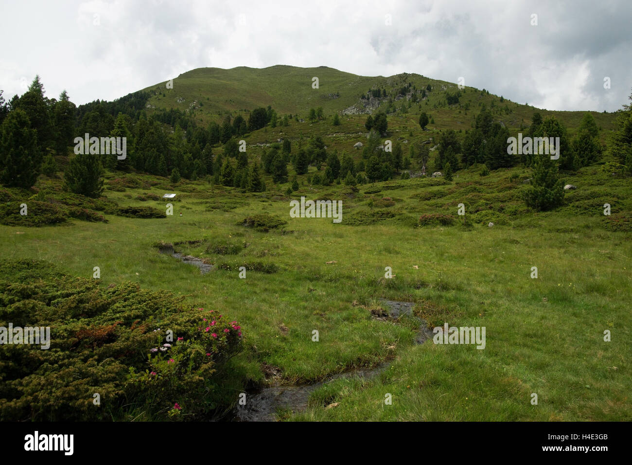 Landscape at the Nock Alp Street in Carinthia, Austria, in July Stock ...