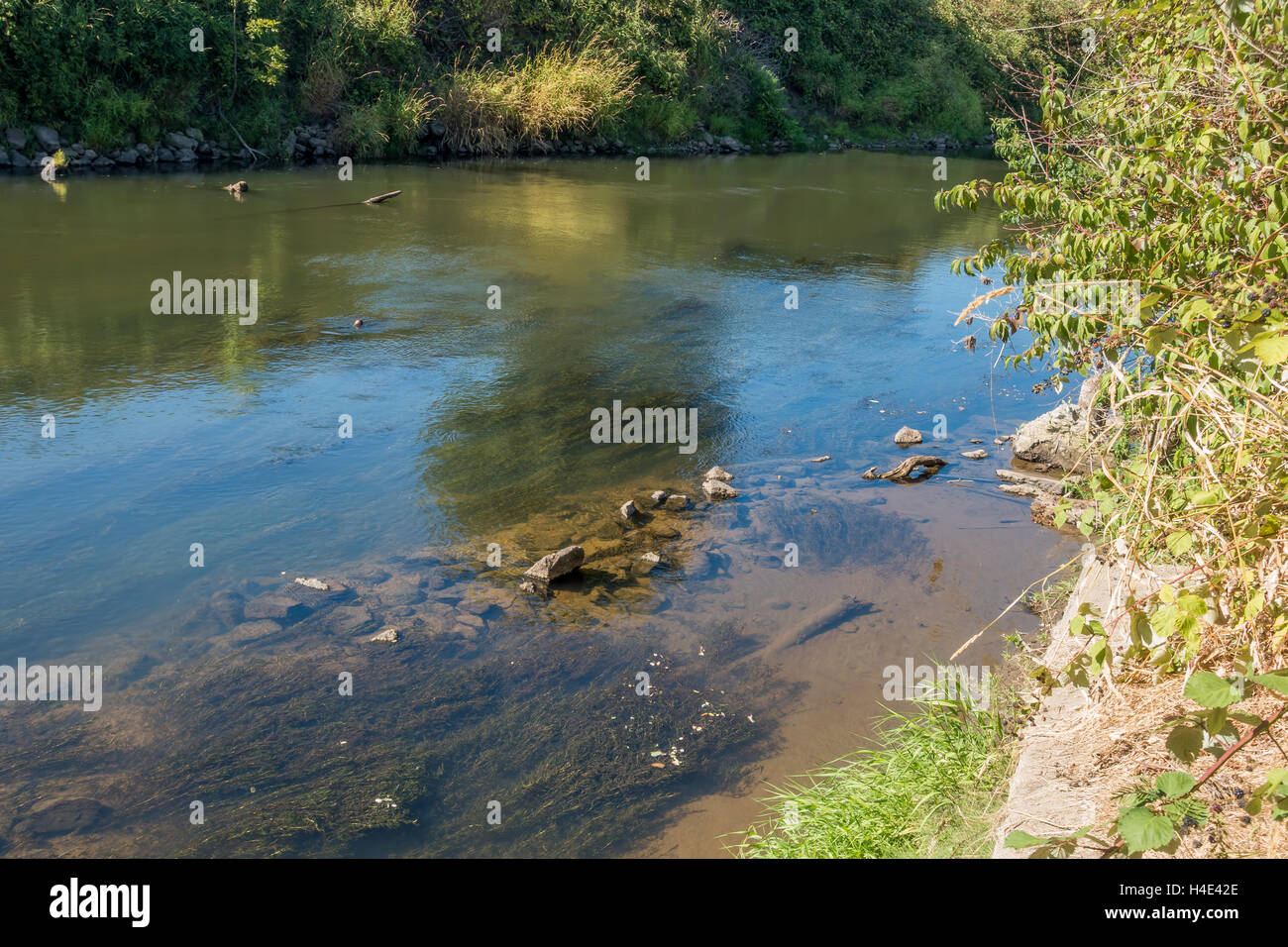The Green River in Kent, Washington flows low on it's banks Stock Photo ...