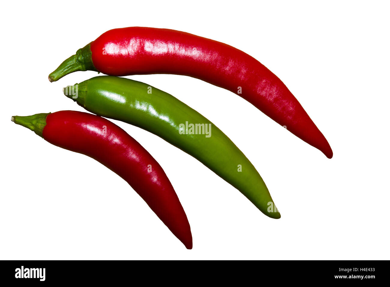 Capsicum, also known as peppers, is a genus of flowering plants in the ...