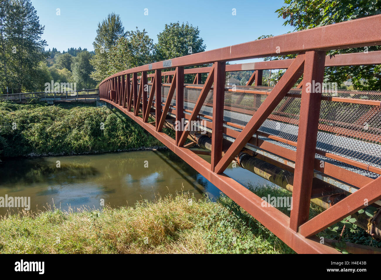 Tree spans hi-res stock photography and images - Alamy