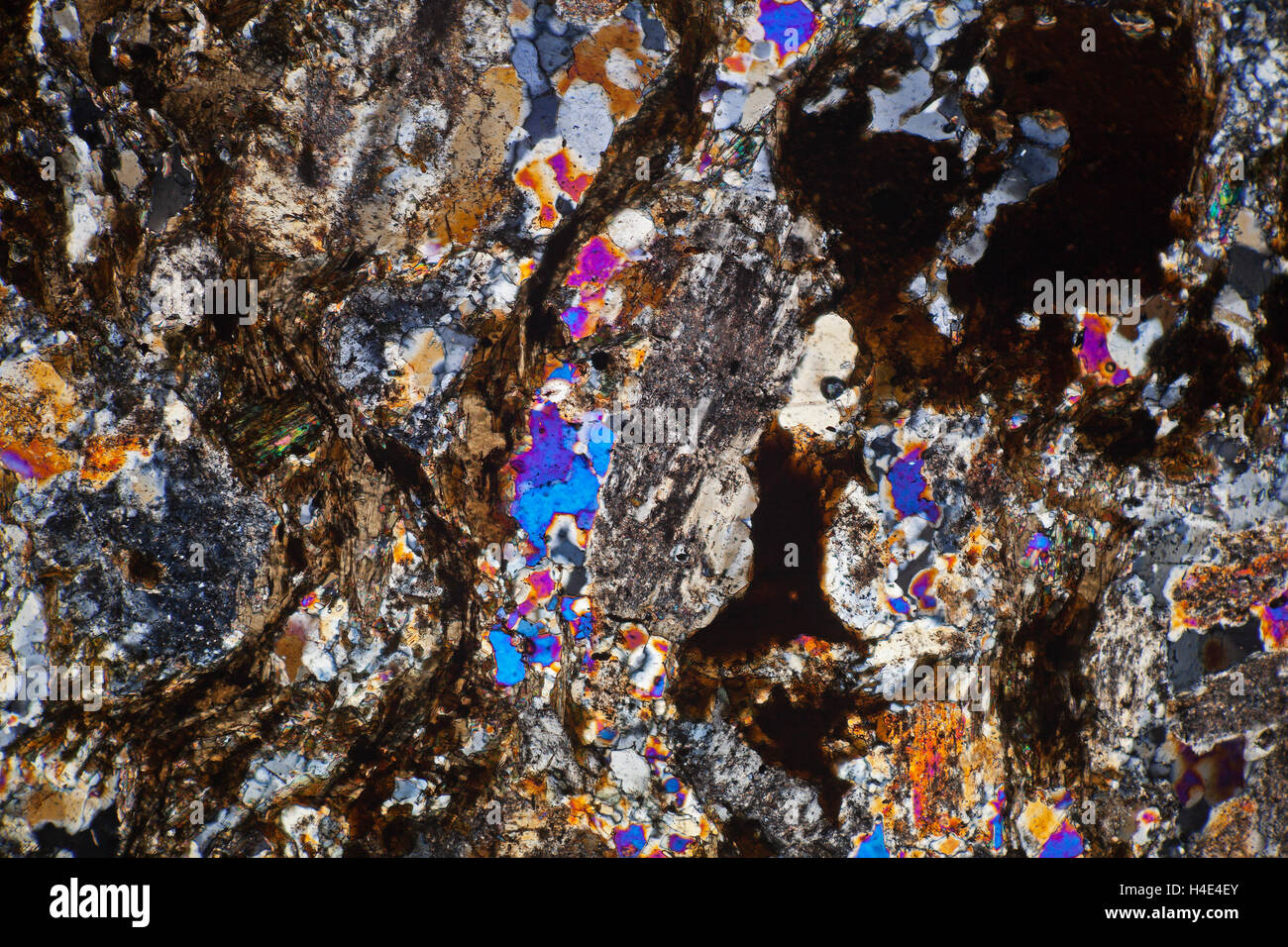 Hornblende Thin Section