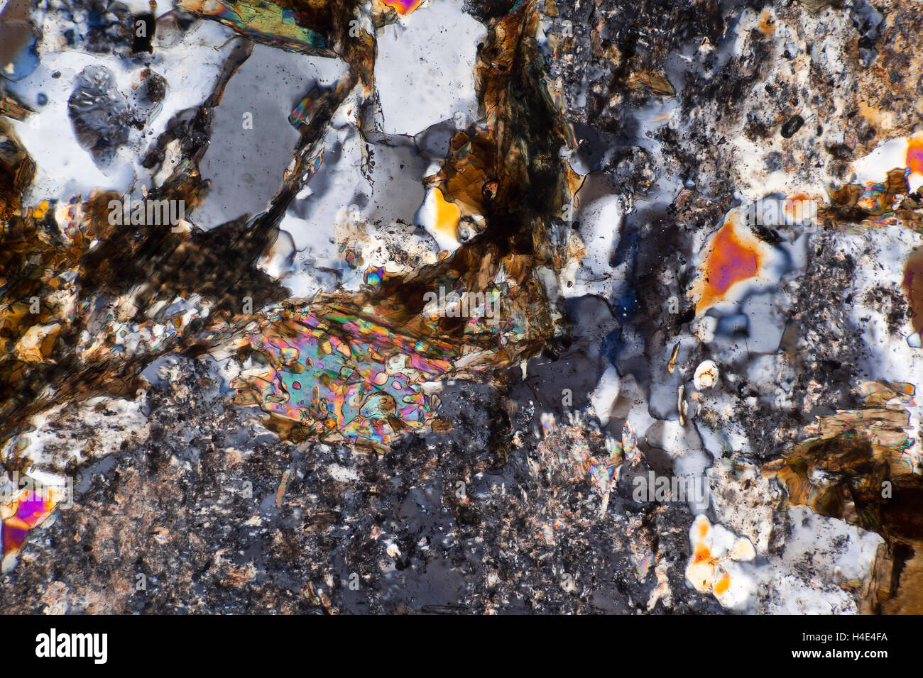 Amphibole Thin Section