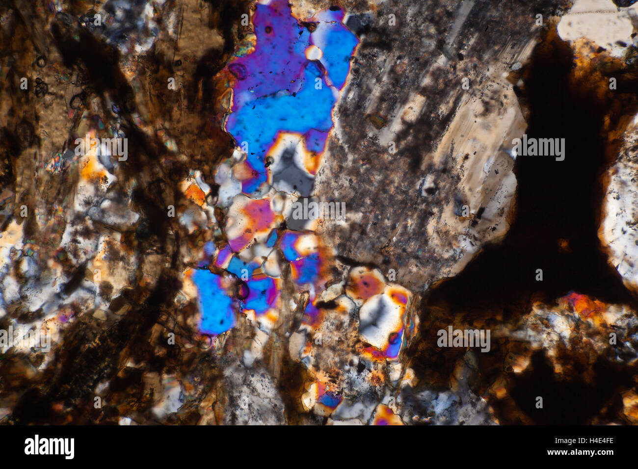 Biotite Thin Section