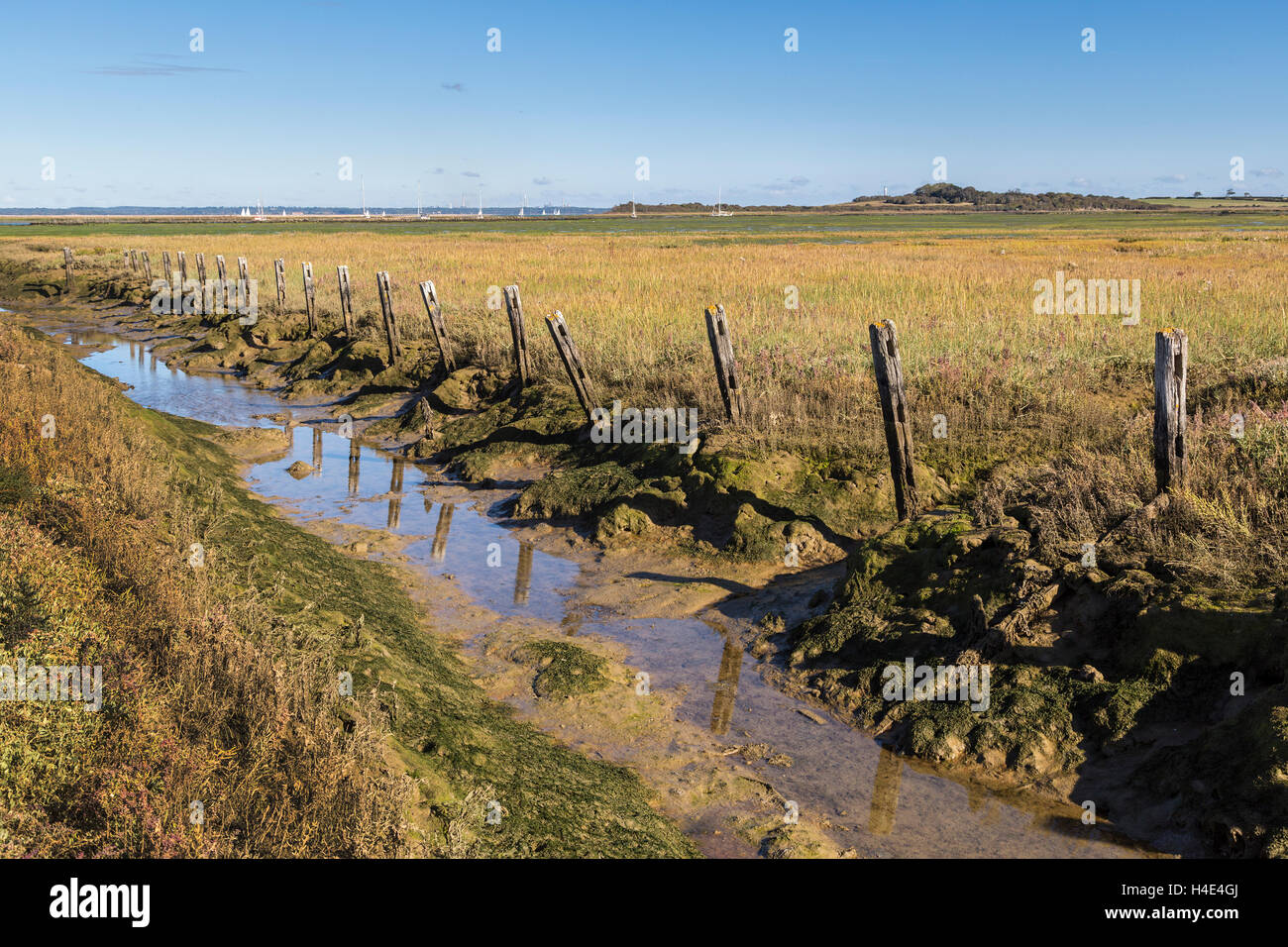 English marsh hi-res stock photography and images - Alamy