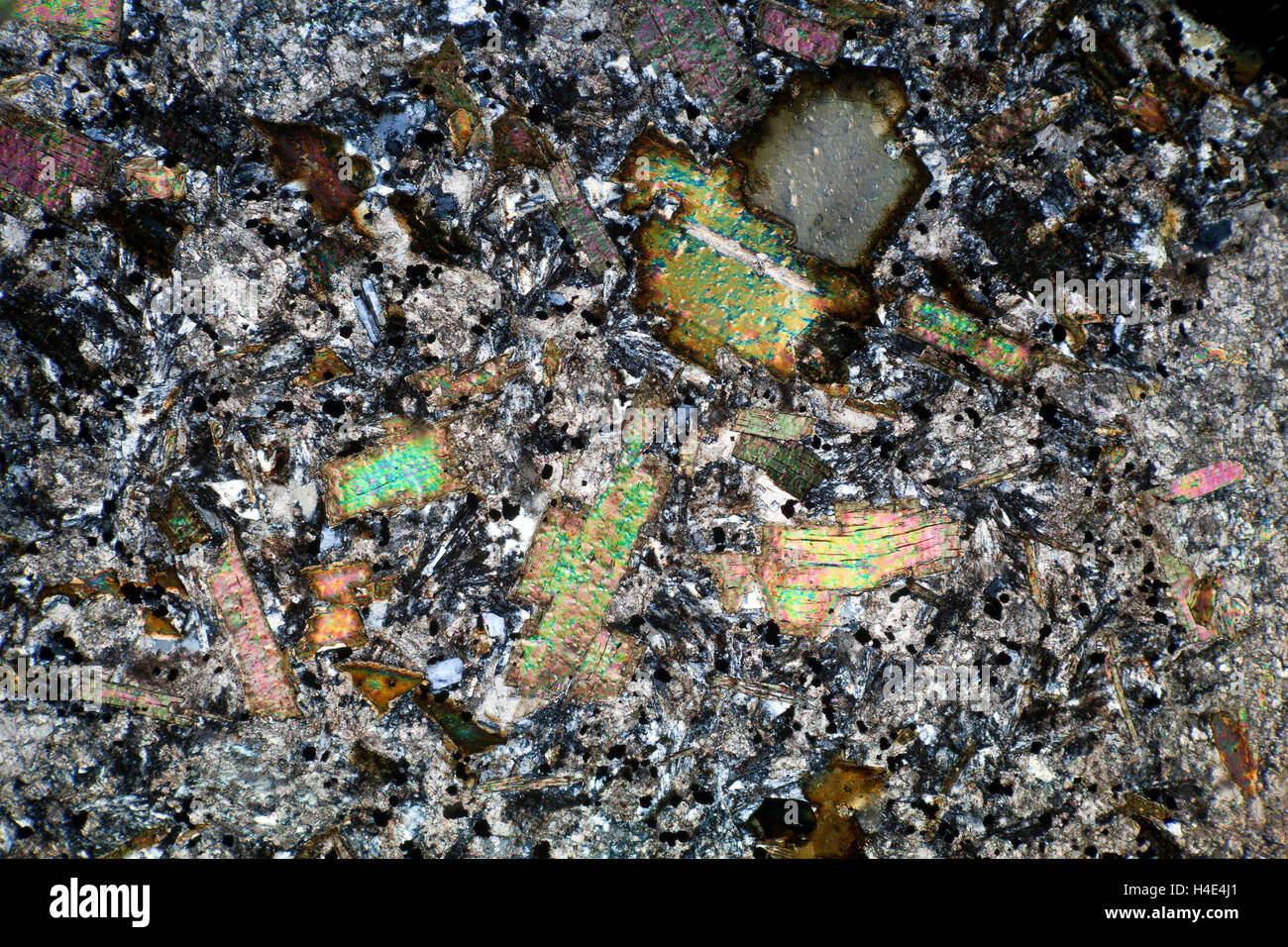 Minette, thin section, polarized photomicrograph, Sedbergh, Yorkshire ...