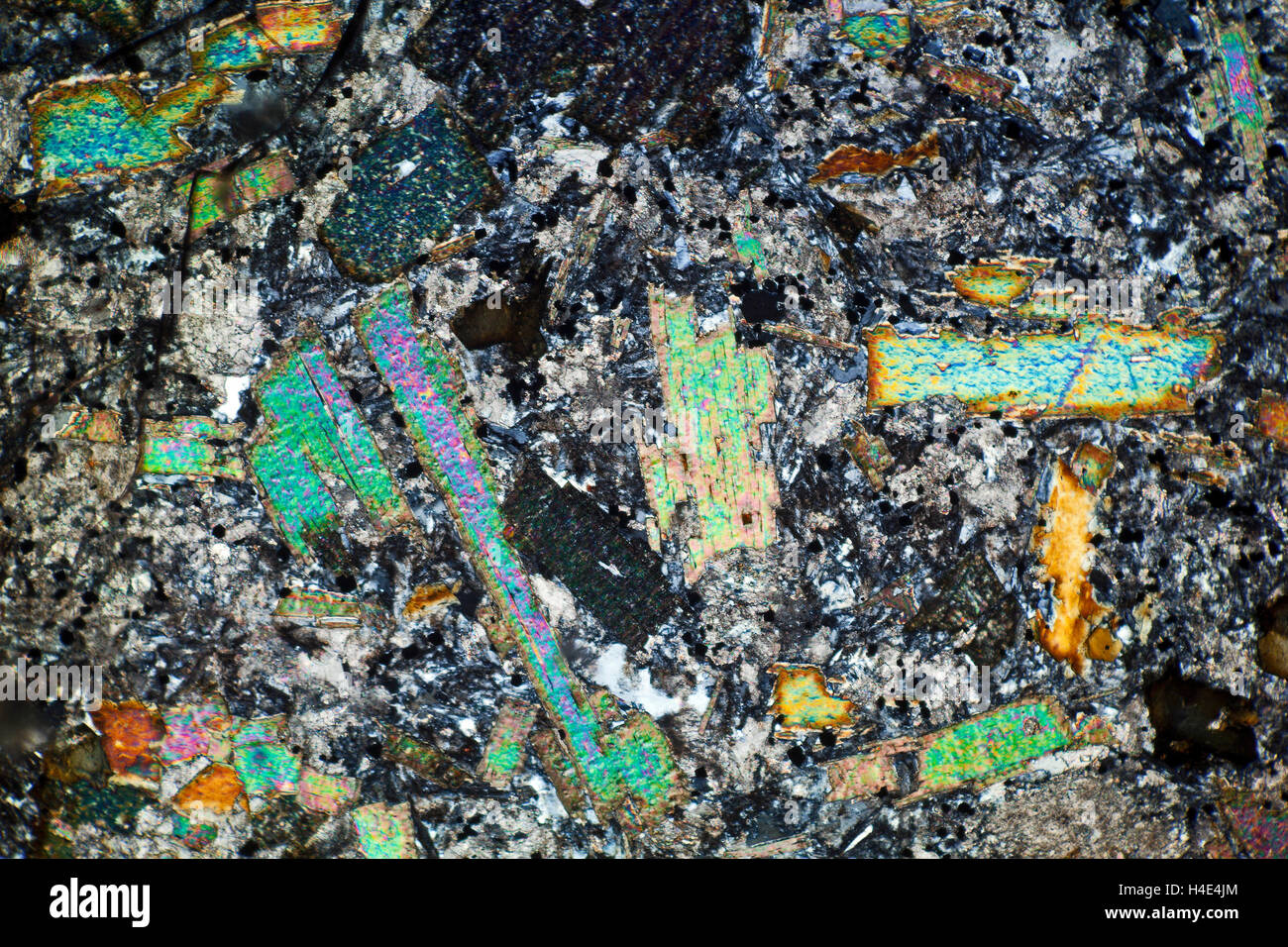 Minette, thin section, polarized photomicrograph, Sedbergh, Yorkshire ...