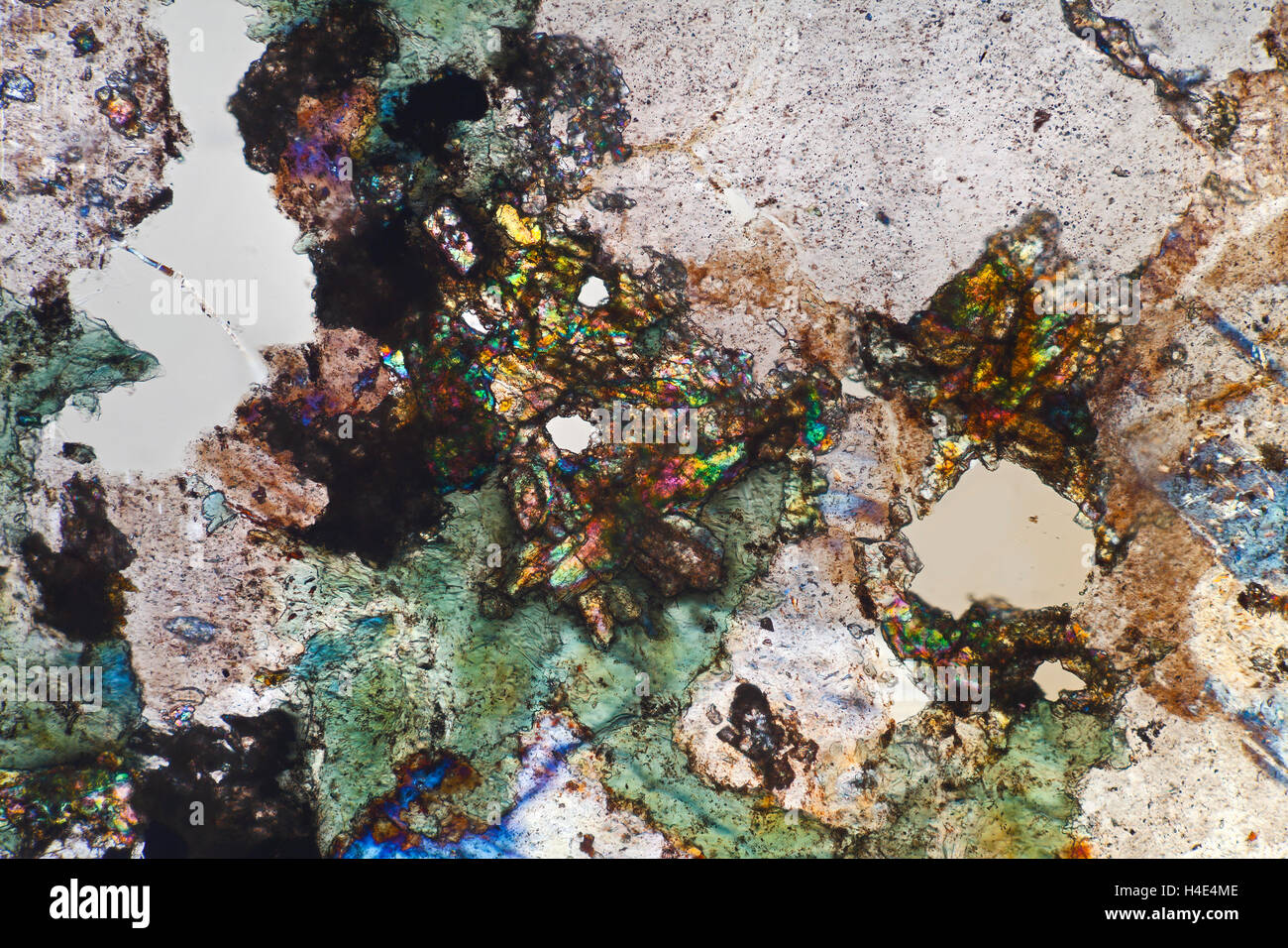 Quartz Diorite section, Jersey. Polarized photomicrograph Stock Photo ...