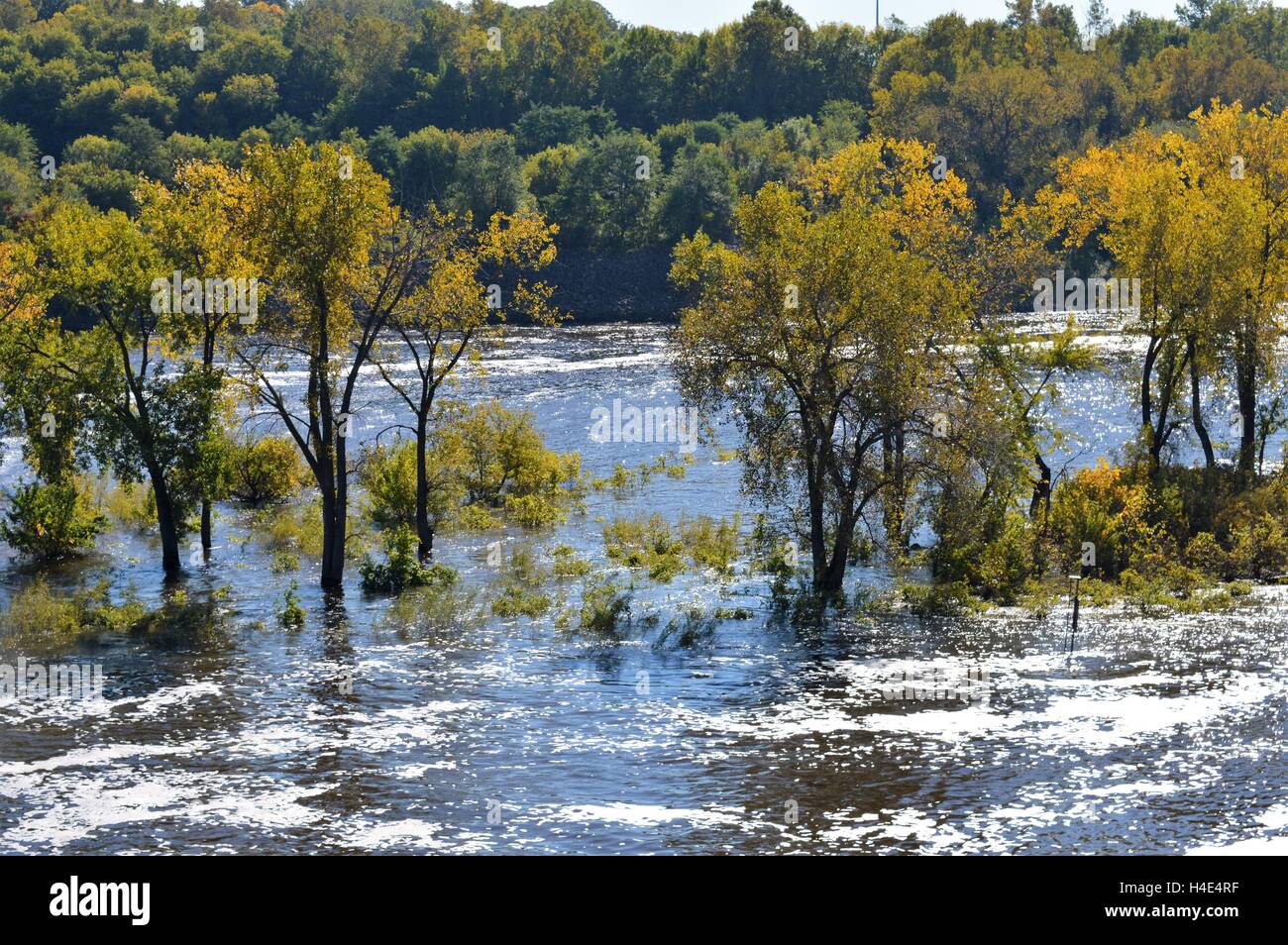 High Water Level in the River Stock Photo - Alamy