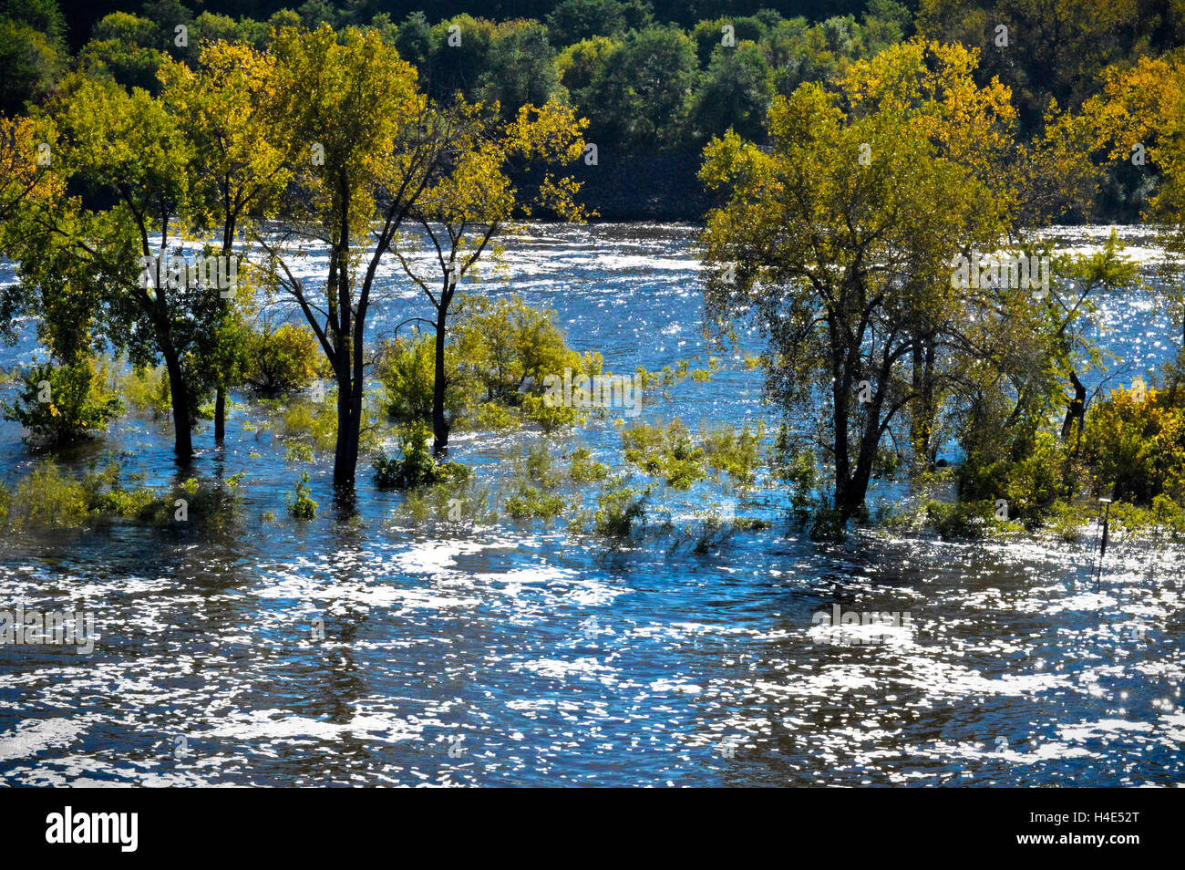 High Water Level in the River Stock Photo - Alamy