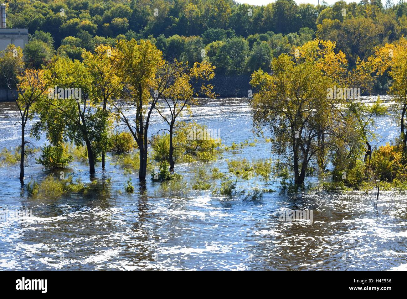 High Water Level in the River Stock Photo - Alamy
