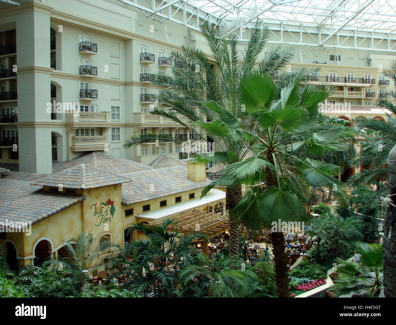 Hotel Atrium with large Palm Tree Stock Photo - Alamy