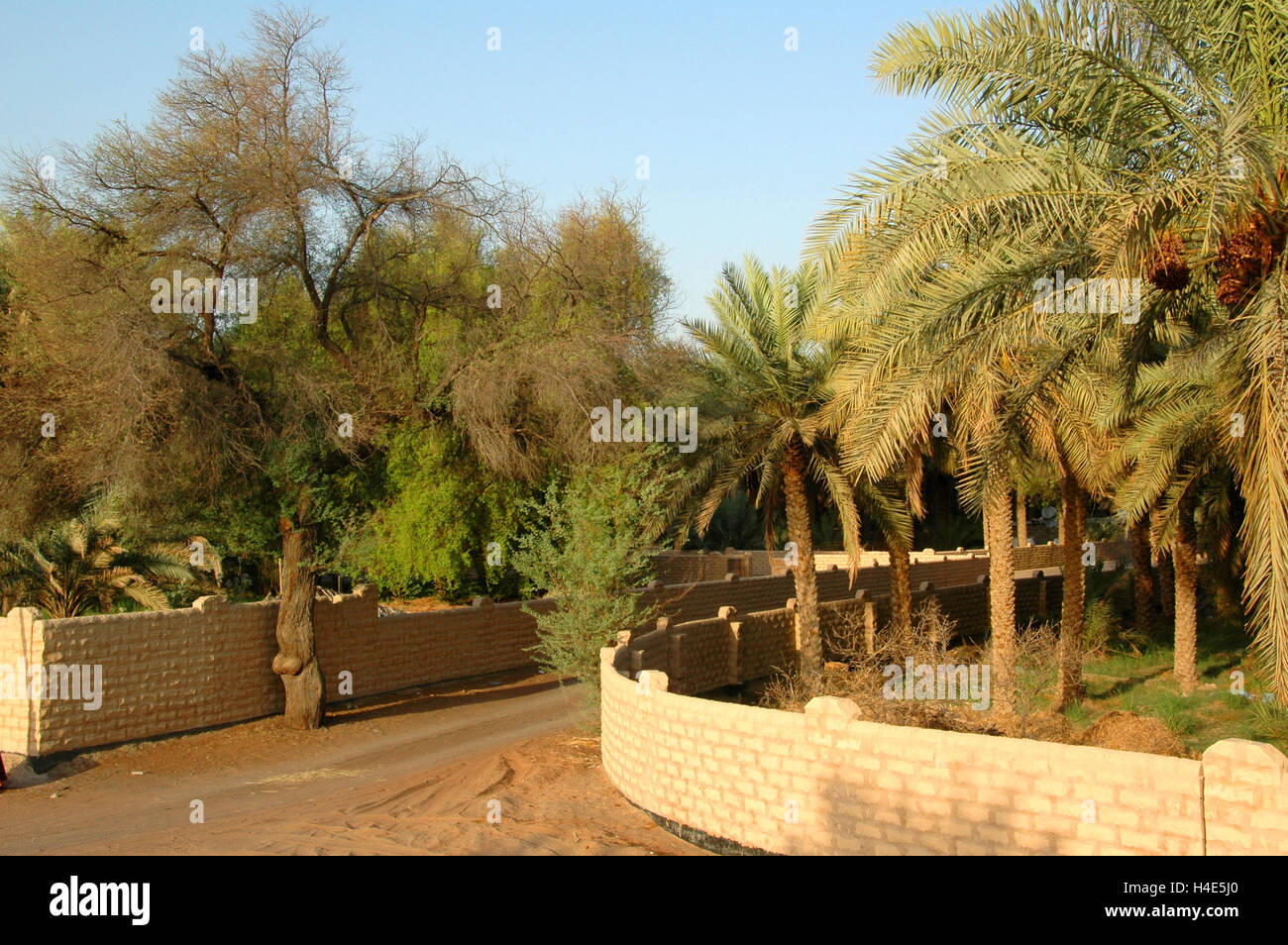 Al ain gardens hi-res stock photography and images - Alamy
