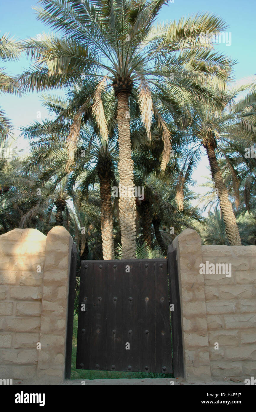 Al Ain Oasis Stock Photo - Alamy