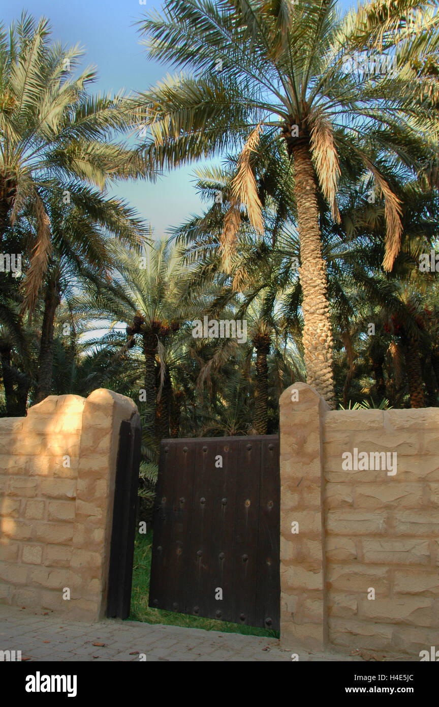 Al Ain Oasis Stock Photo - Alamy