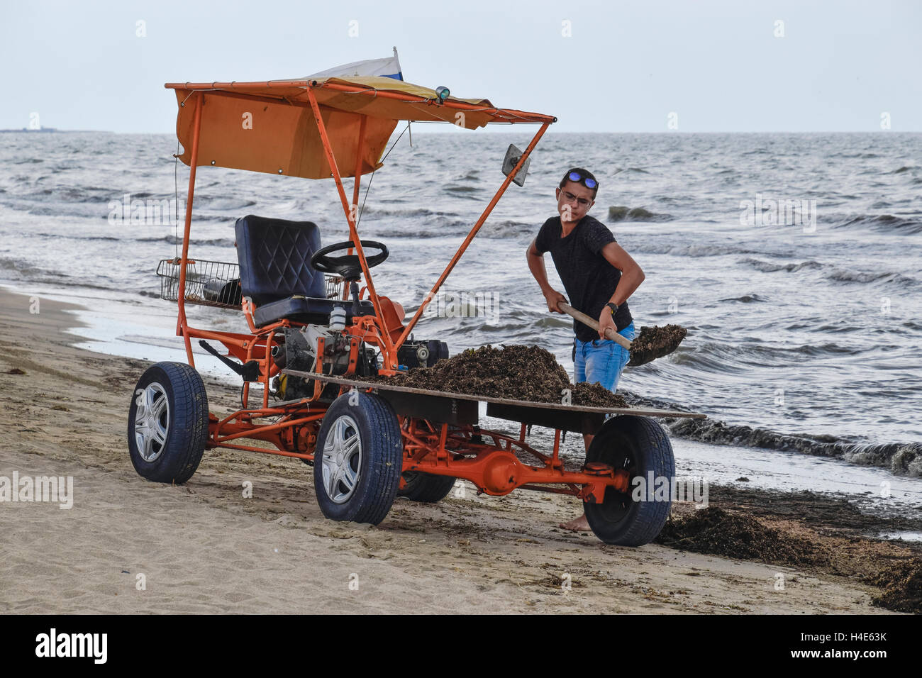 The car for garbage collection from the beach. Cleaning on the beach ...