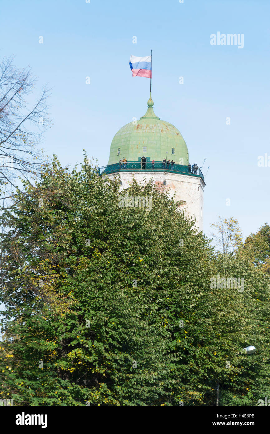 Flag of vyborg hi-res stock photography and images - Alamy