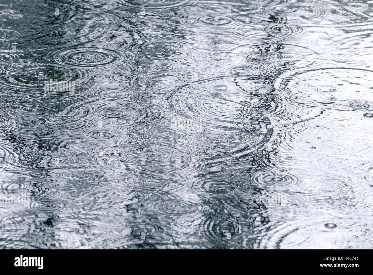 rain drops on water surface with blurred tree reflection Stock Photo ...