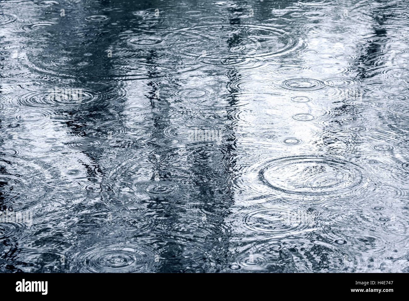 water reflection of trees on grey mirror-like puddle surface Stock ...