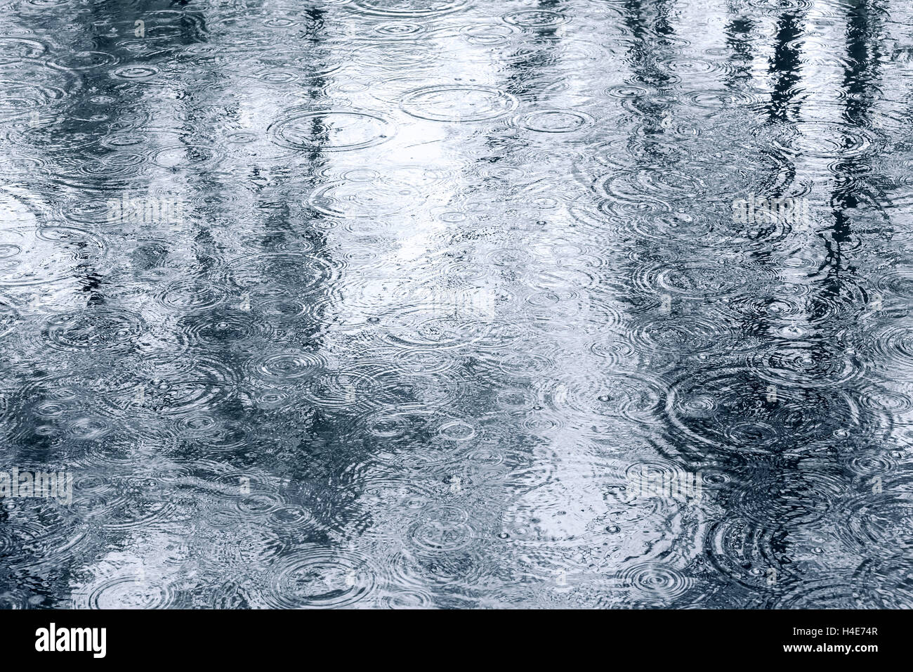 wet urban sidewalk with raindrops and trees reflection in a puddle ...