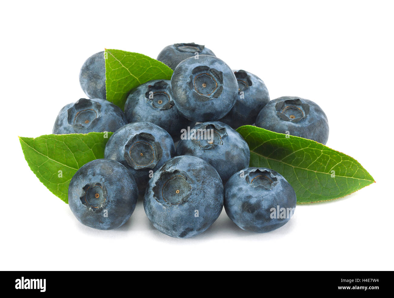 Blueberry fruit closeup with leaf isolated on white Stock Photo - Alamy