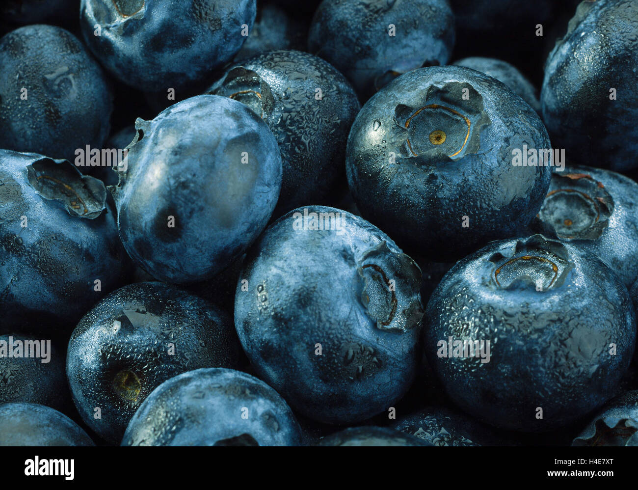 Blueberries berry closeup background with water drop Stock Photo - Alamy