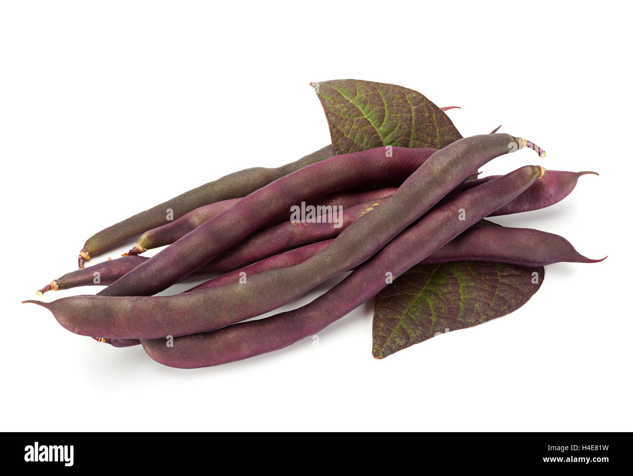 Purple bean closeup isolated on white background Stock Photo - Alamy