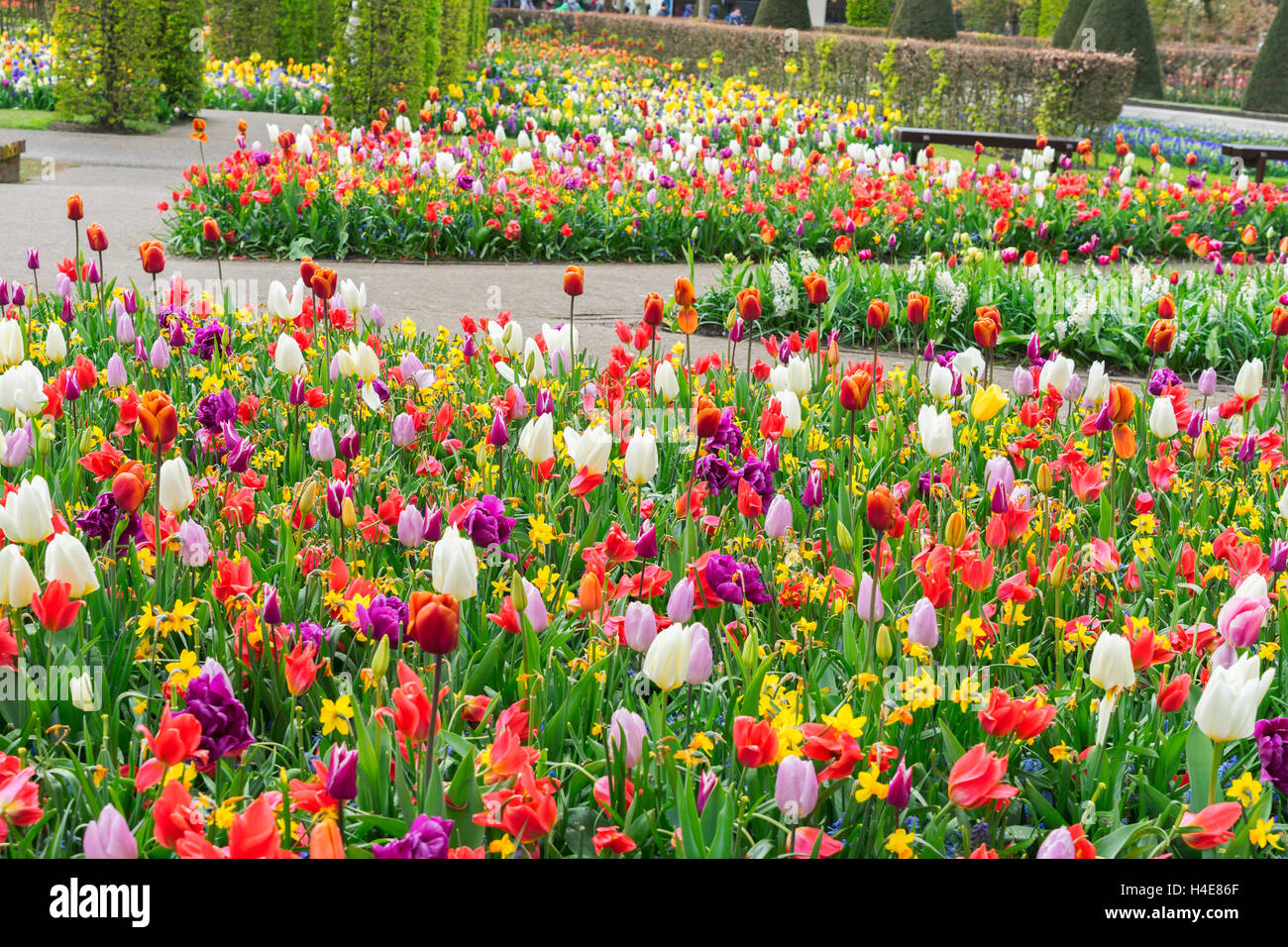 Formal spring garden Stock Photo - Alamy