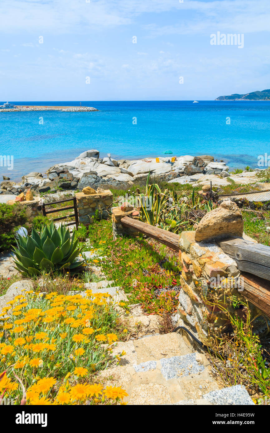 Yellow spring flowers on path to Spiaggia del Riso beach, Sardinia ...