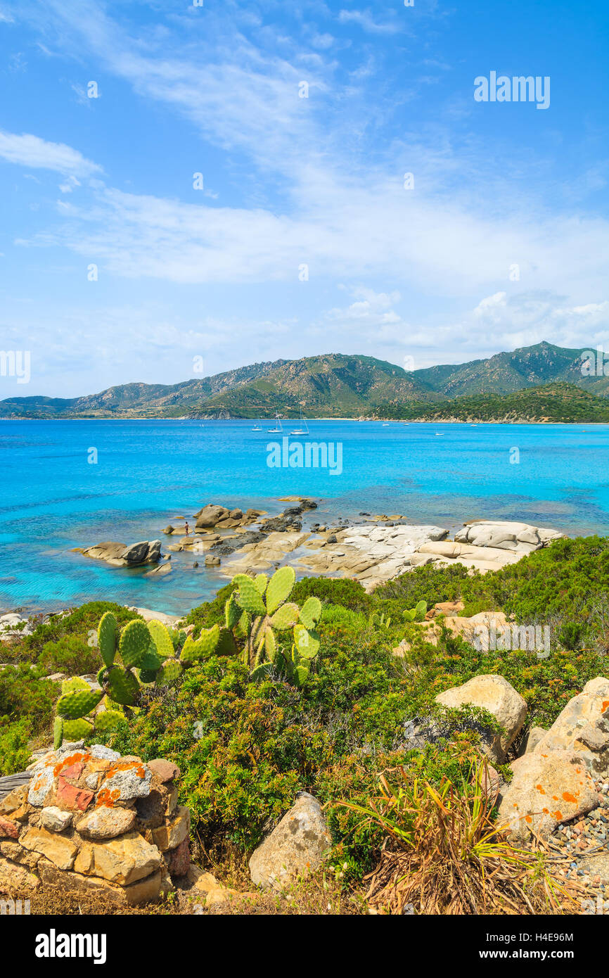 Tropical plants on coast of Sardinia island, Italy Stock Photo - Alamy
