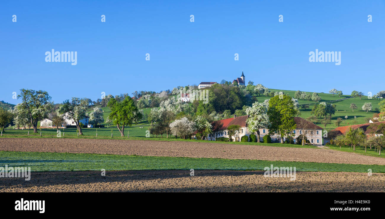 Pear trees farmhouse in spring hi-res stock photography and images - Alamy