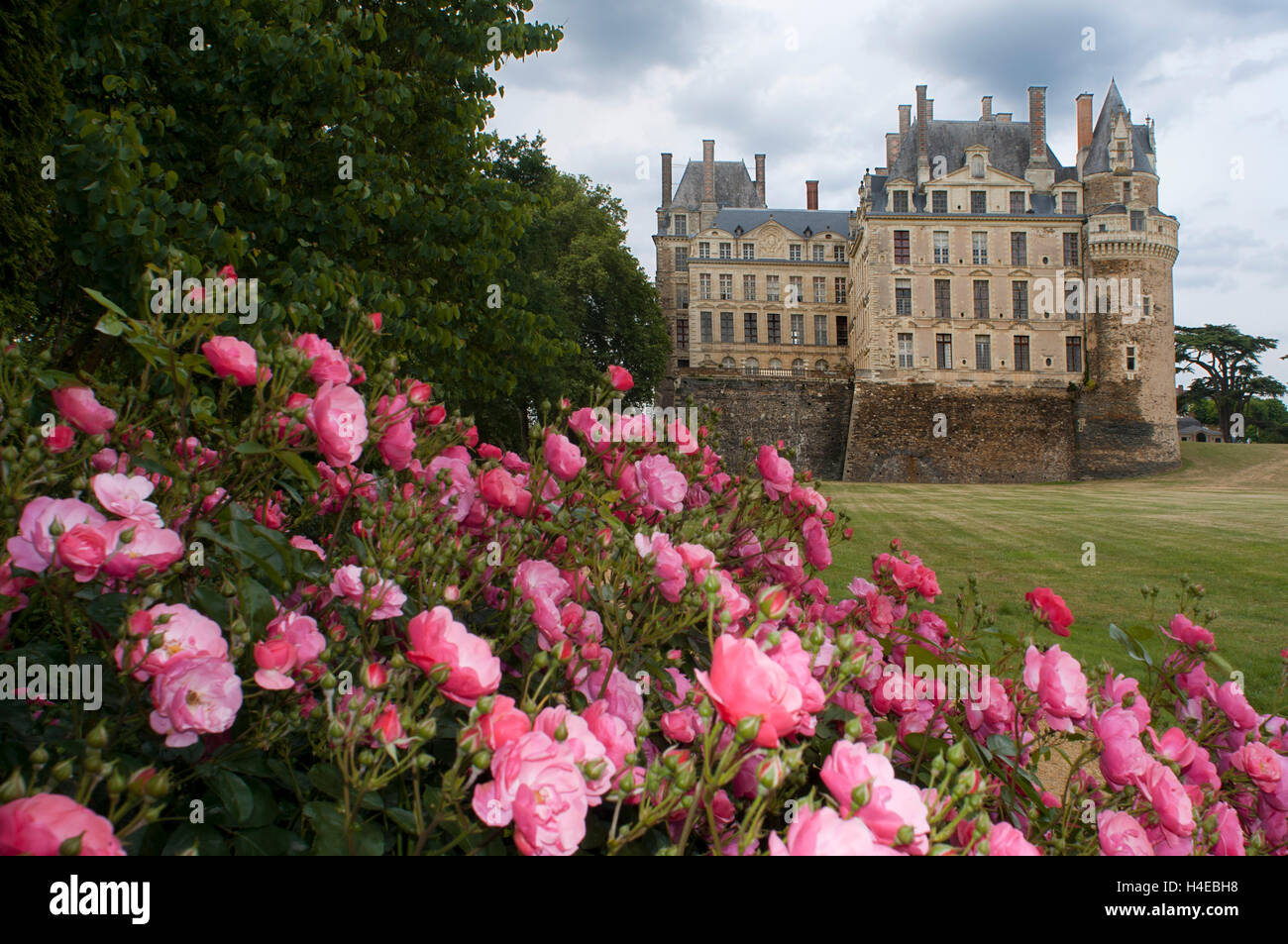 Gardens of Chateau Brissac-Quince, Brissac castle, near Angers, said to ...