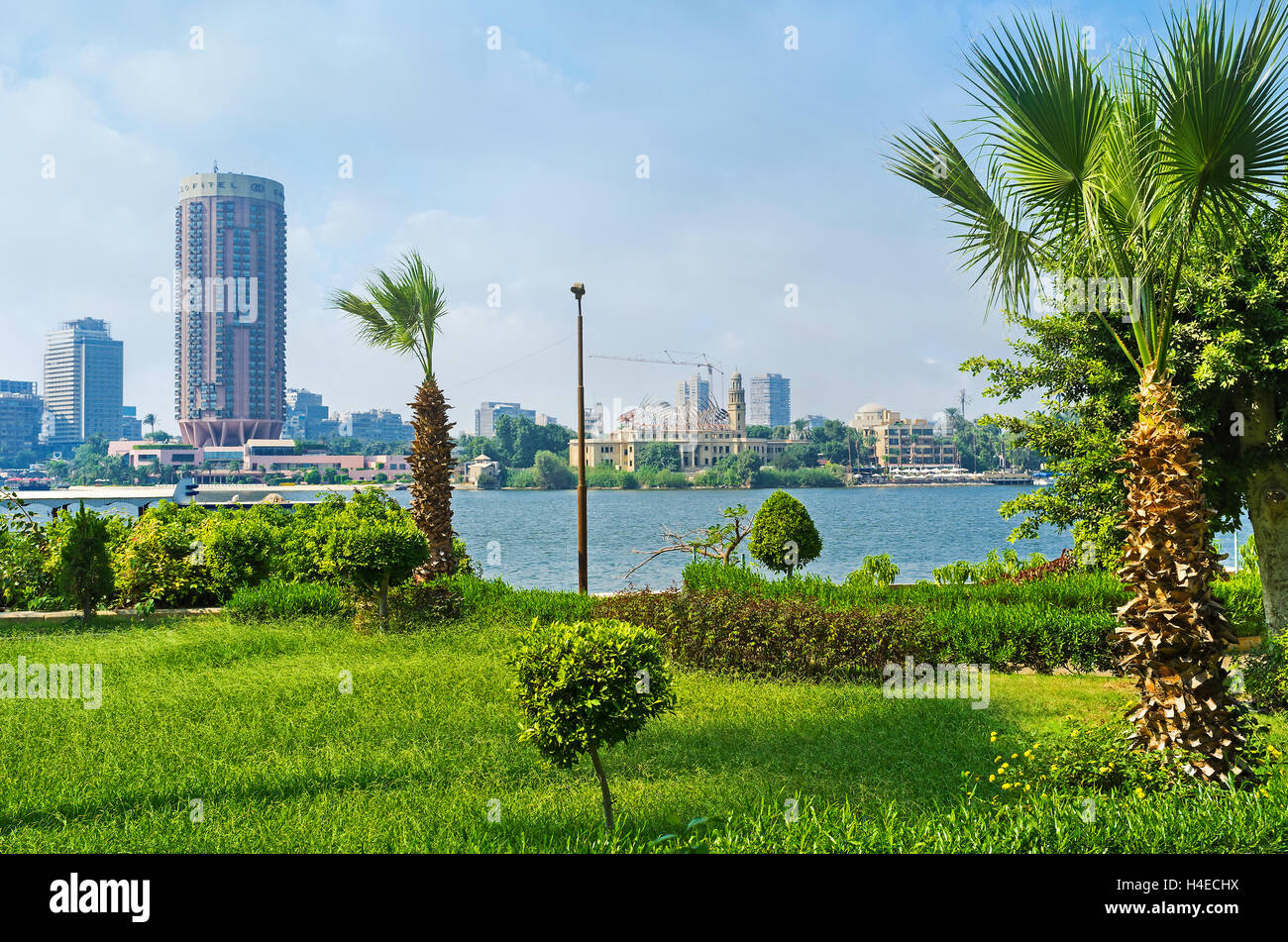 The greenery on the Downtown's promenade in Cairo, Egypt Stock Photo ...