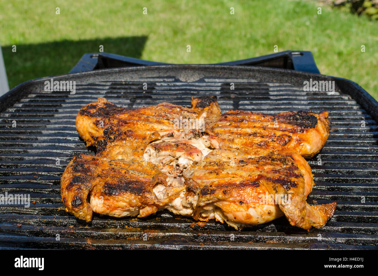 Chicken under a brick with panzanella salad. Pollo al mattone Stock ...
