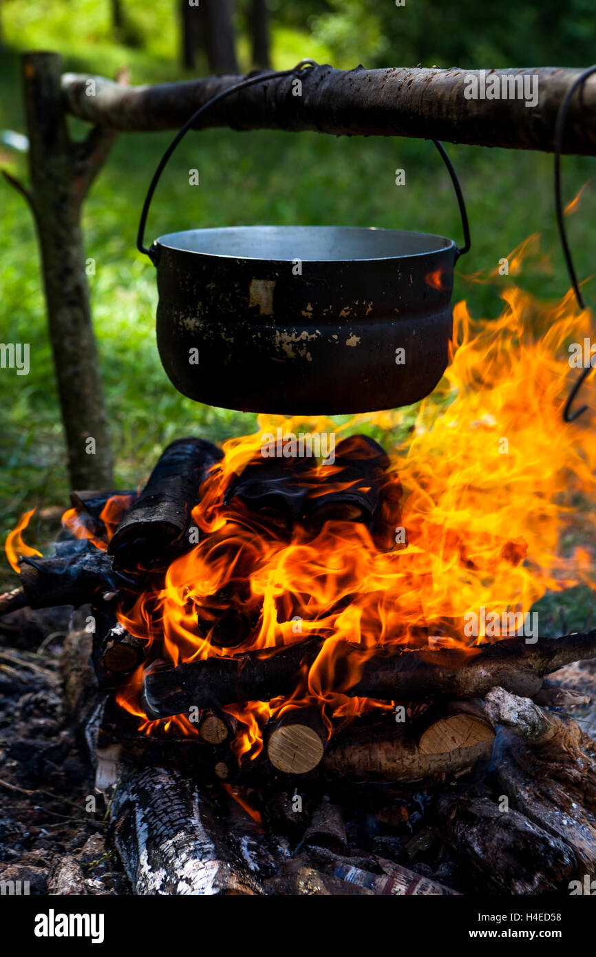 pot on the fire with mushrooms in the forest on the banks of the river ...