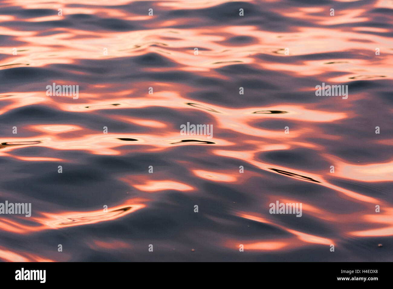 Water ripple and reflected sunset color Stock Photo - Alamy