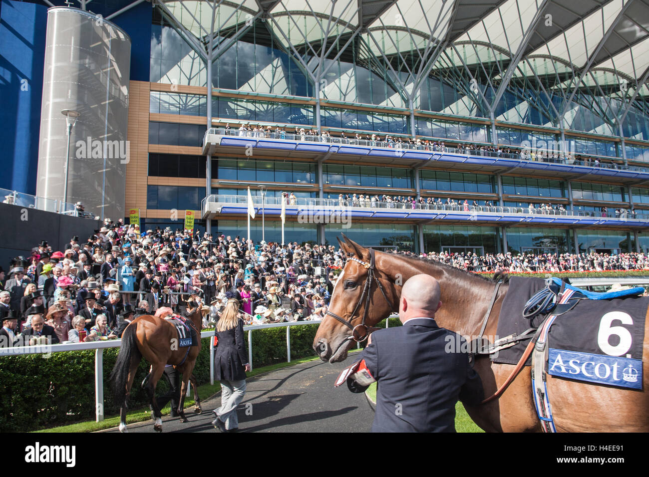 Royal Ascot,horse racing meeting.Popular event on social calendar ...