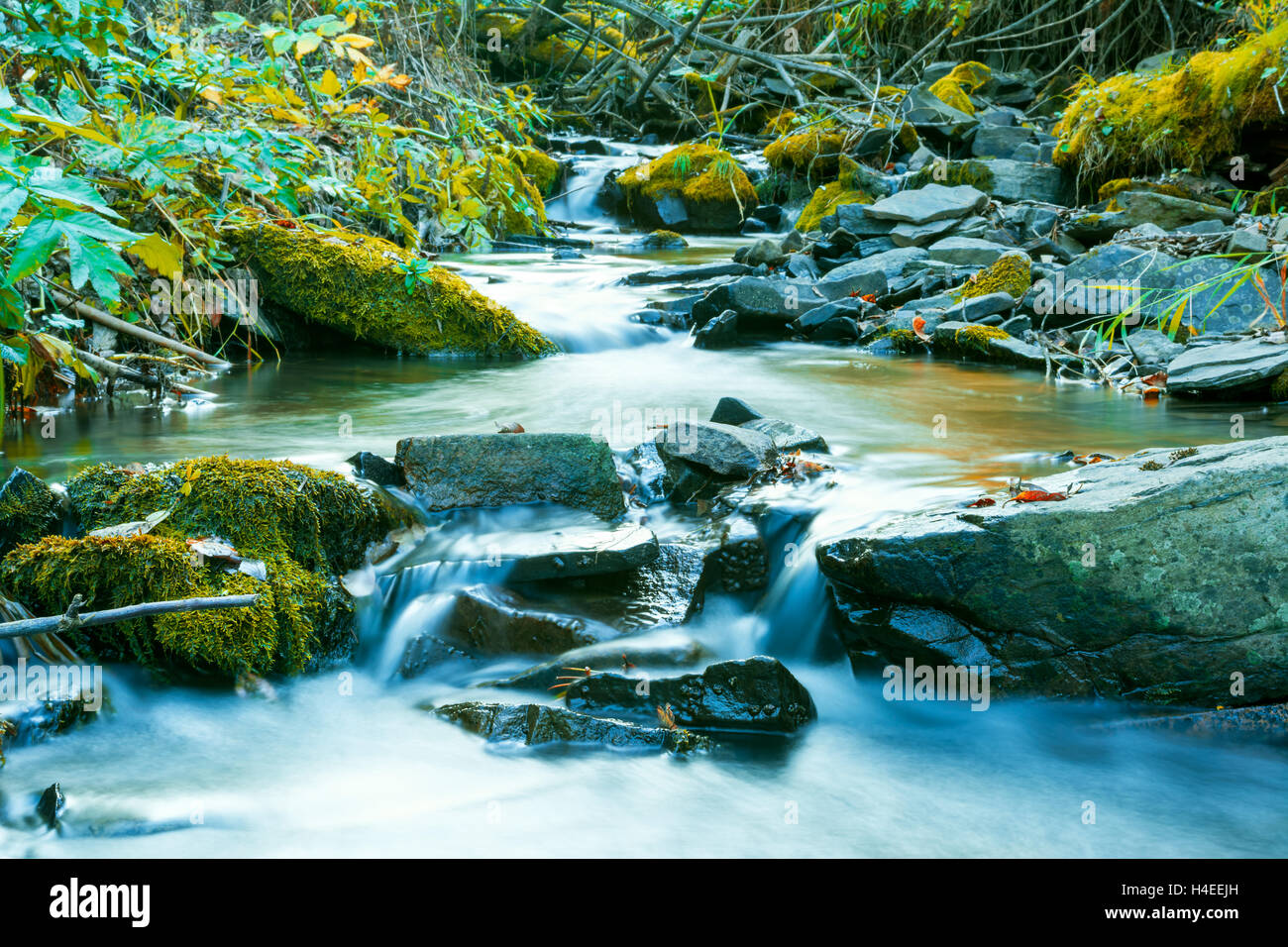 River flowing through stony bottom. Beautiful waterfall landscape. The ...